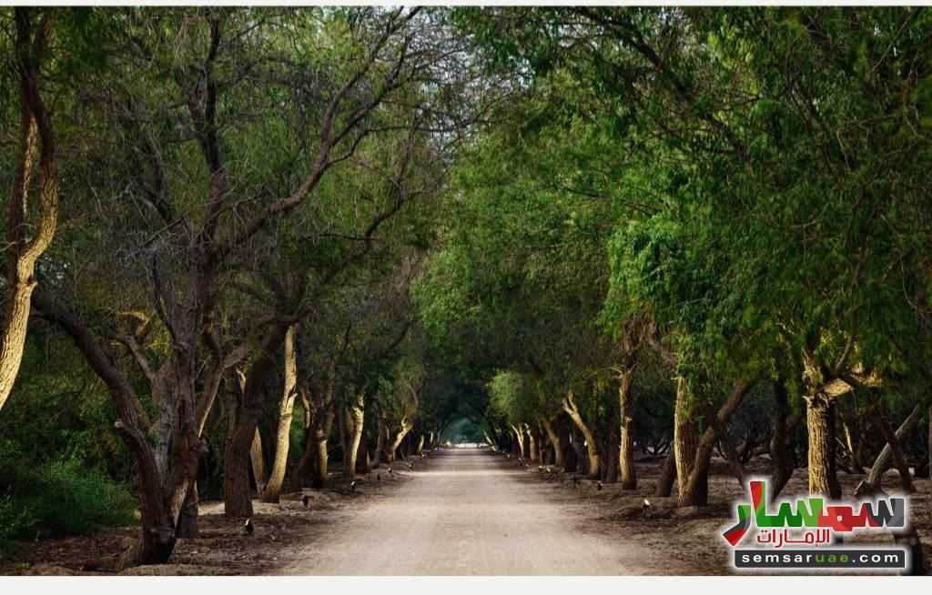 Lands for Sale Al Shahama Abu Dhabi - SemsarUAE.com