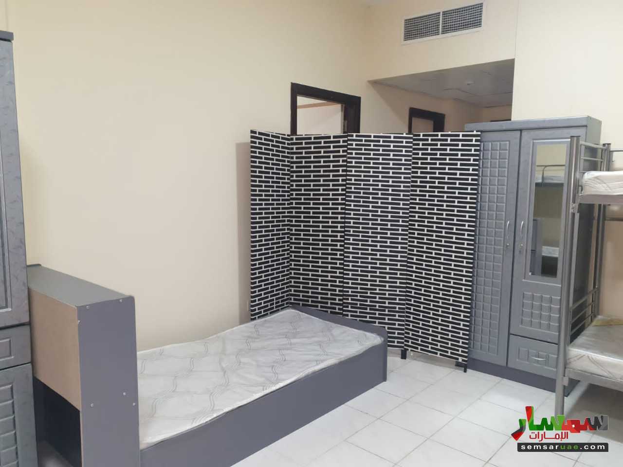 For Monthly Rent Furnished Sharing Room in Dubai International City 5